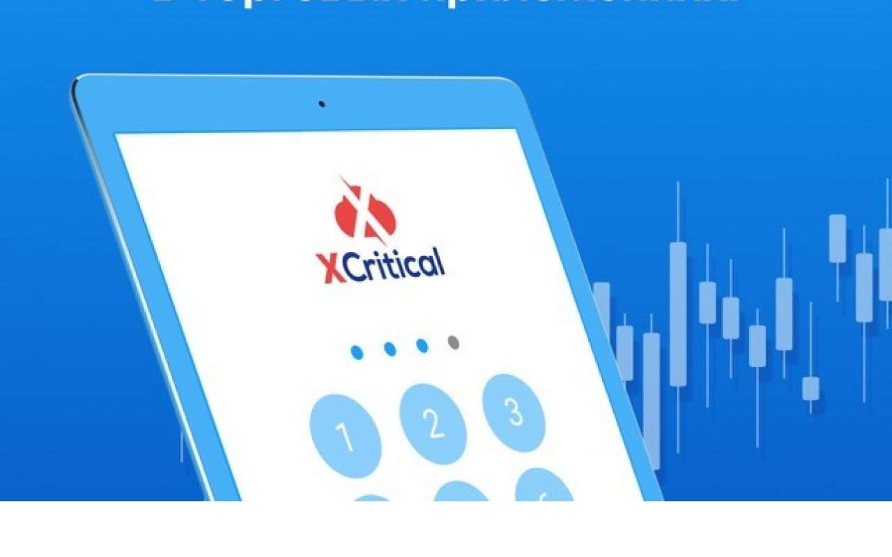 Обзор xCritical: правдивые отзывы | Все о Форекс